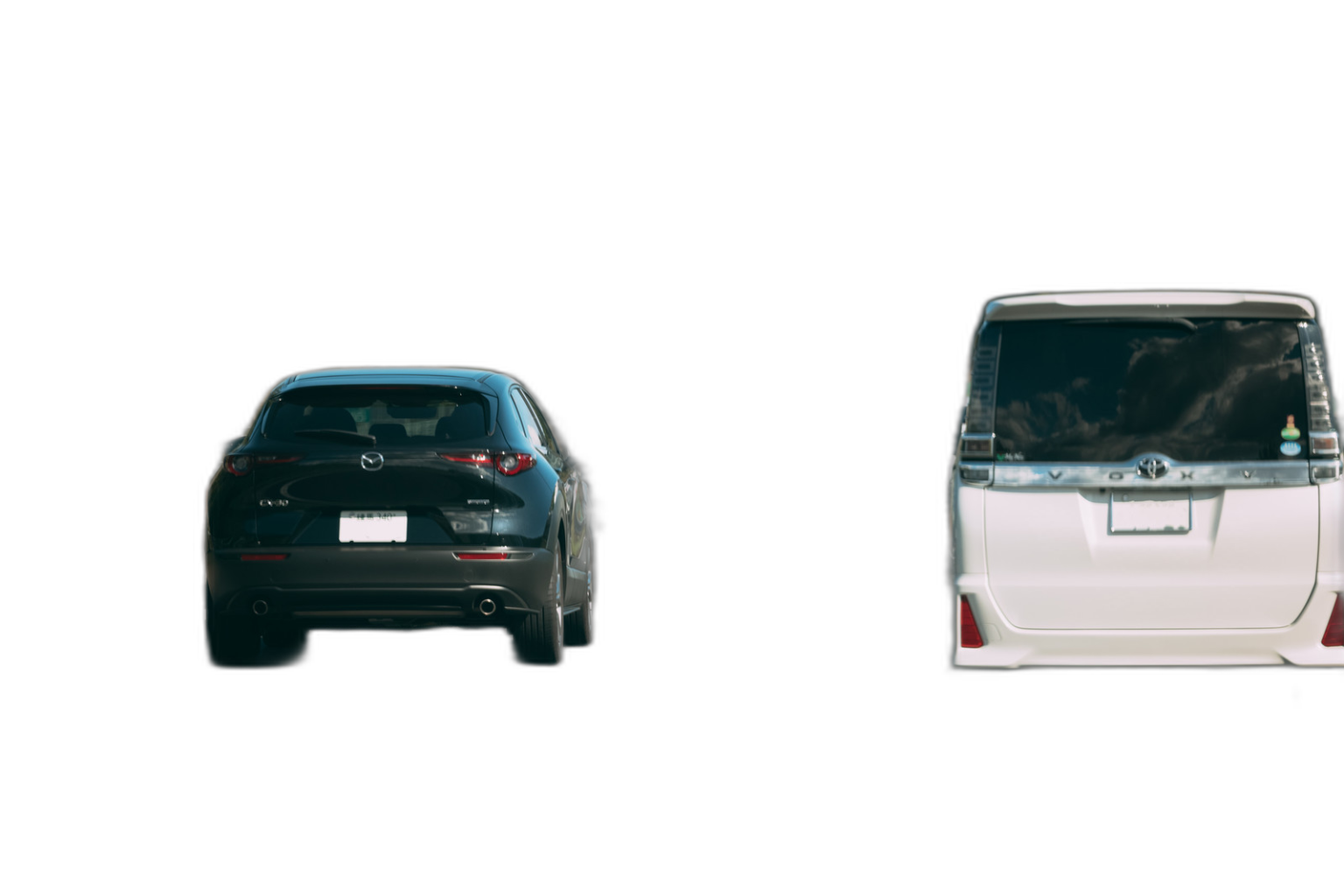 【Matting】Remgbを使って画像から背景を削除する - つくもちブログ 〜Python&AIまとめ〜